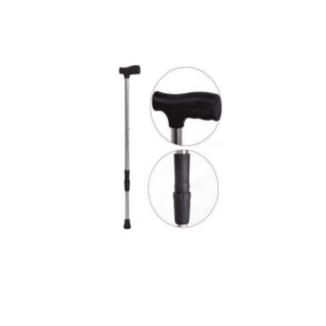 Walking Stick - N & O World